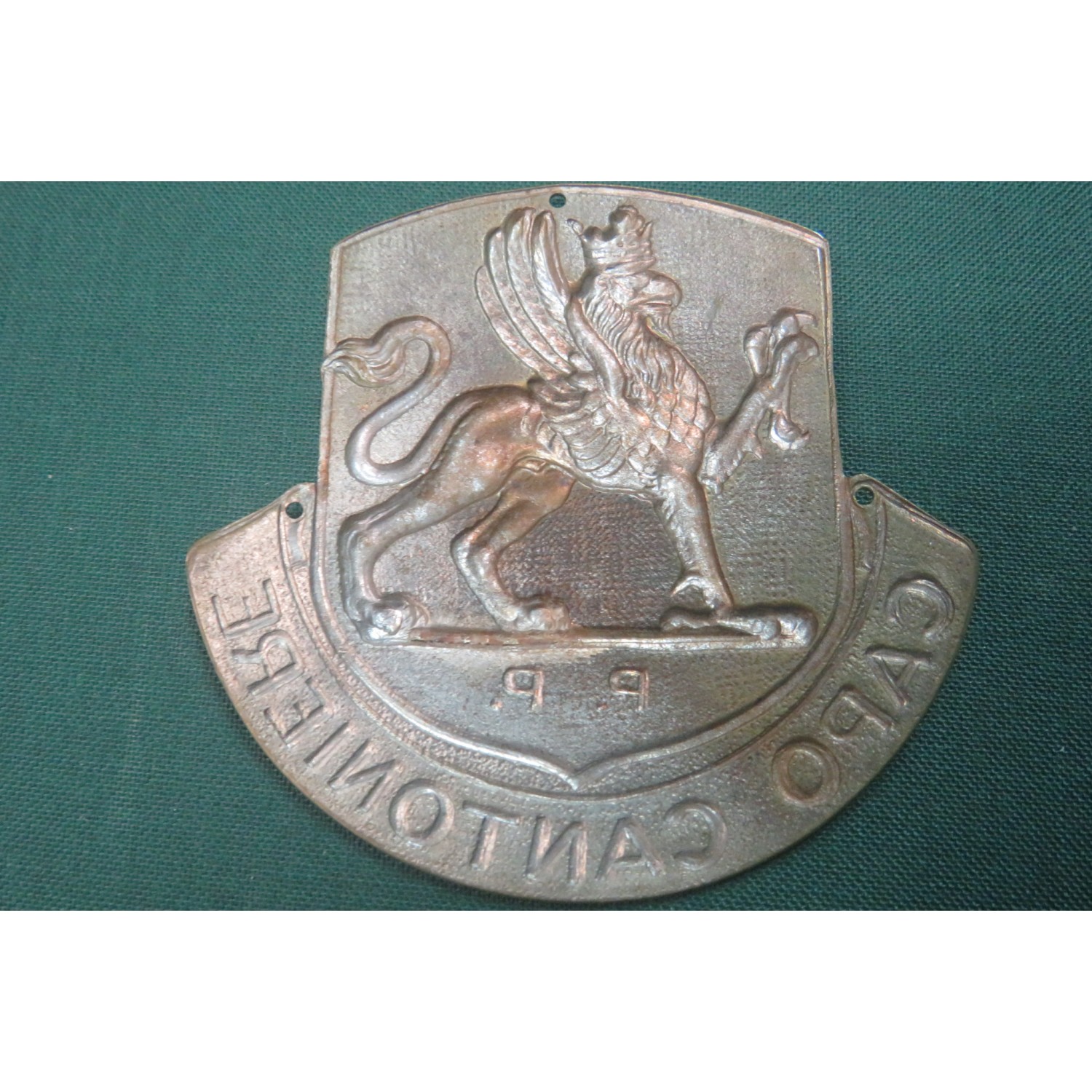Splendid shield for arm CANTONIERE LEADER